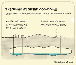 tragedy of the commons